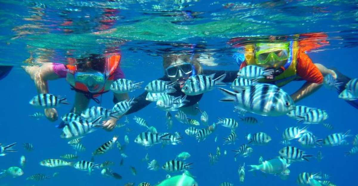 17 best snorkeling and diving destinations in the world for beginners ...