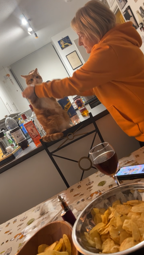 Adorable dance routine nan and her cat steal the show