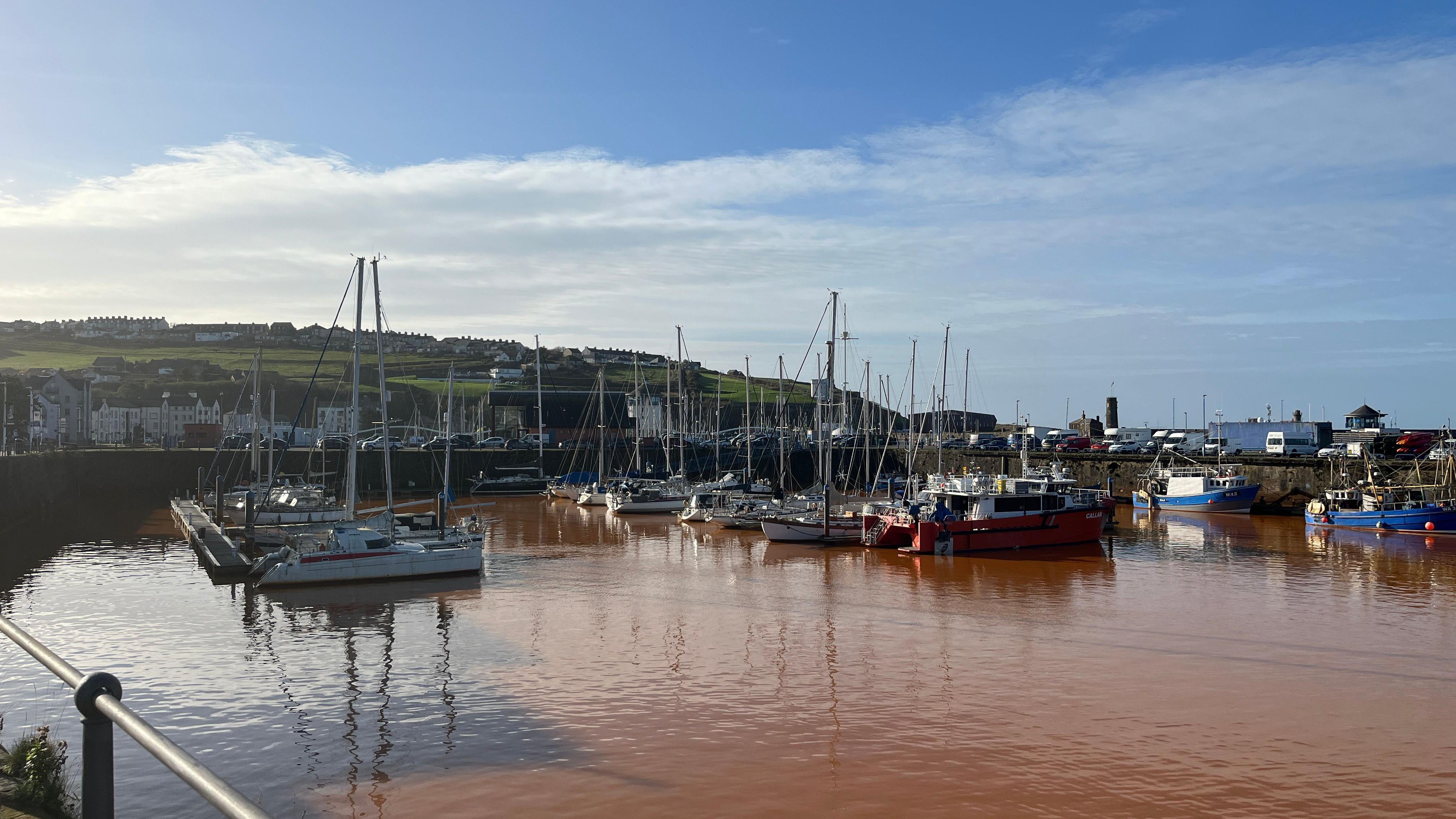 Harbour faces fresh setback over orange water