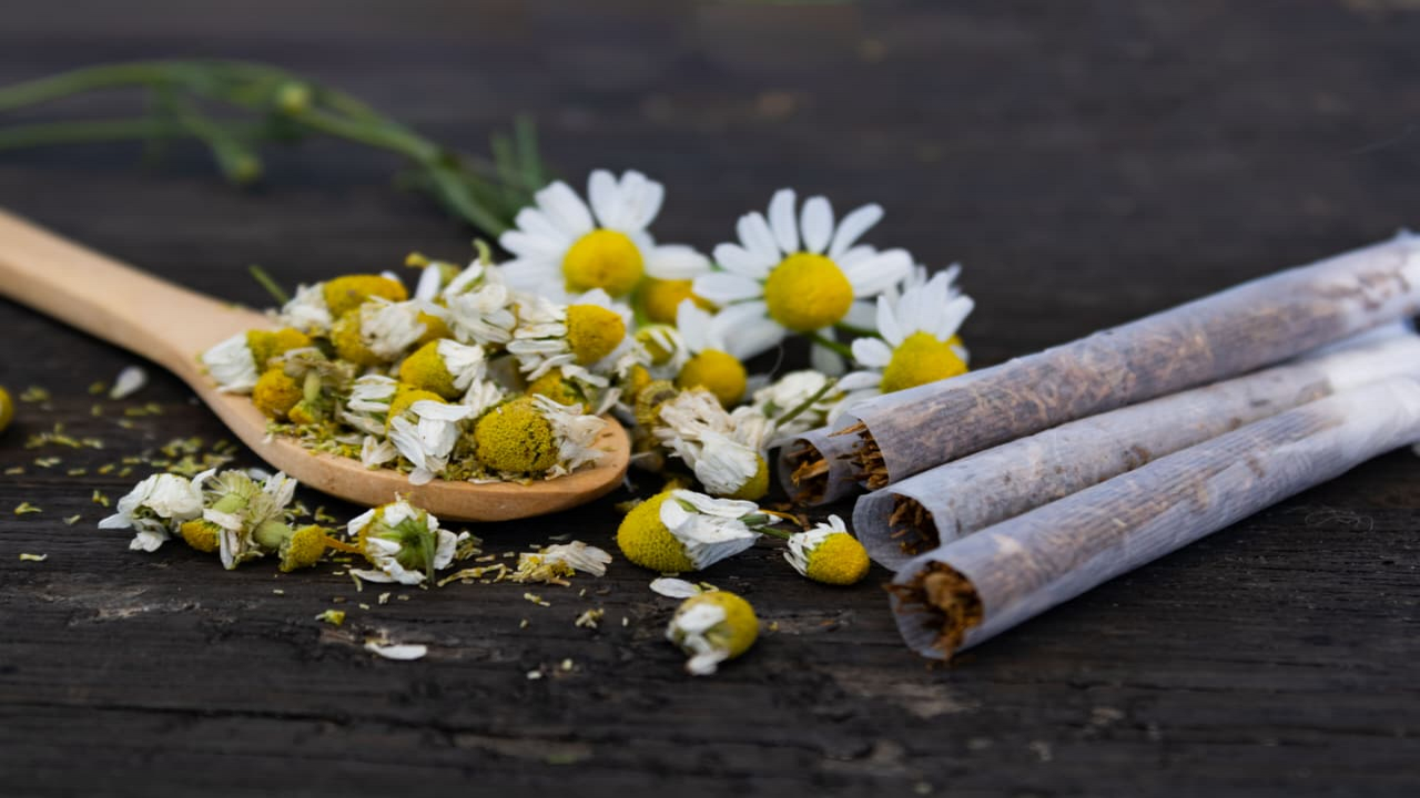 Herbal cigarettes not safe, found high in fine particles and lead: study
