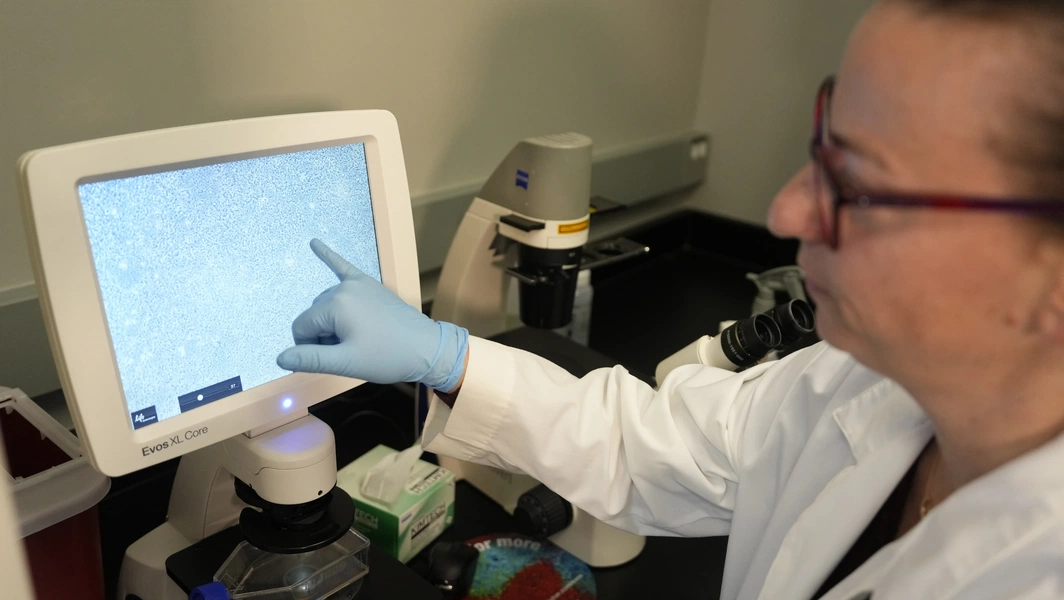 Synthetic vitamin K compounds spur neuron growth in mice