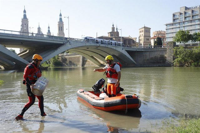 El Ayuntamiento inicia el tratamiento preventivo contra la mosca negra ...