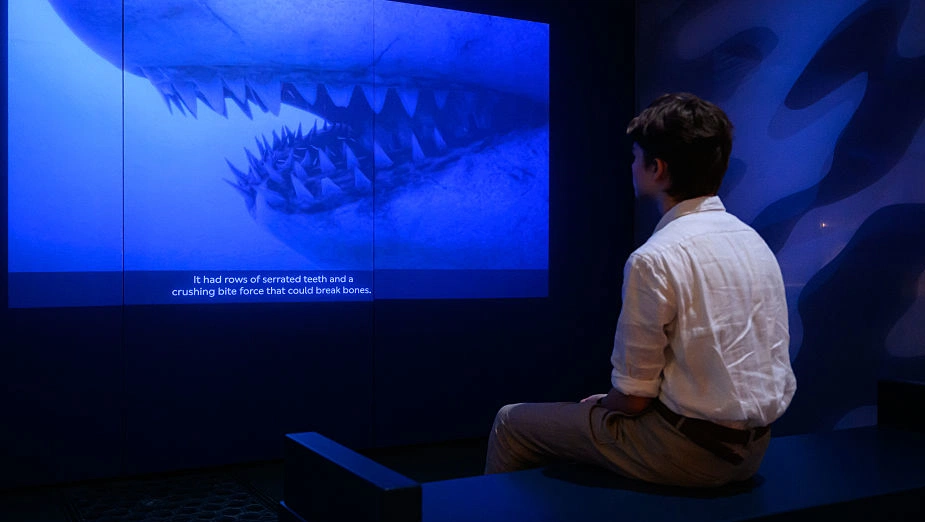 Kansas boy to display rare 80-million-year-old fossil