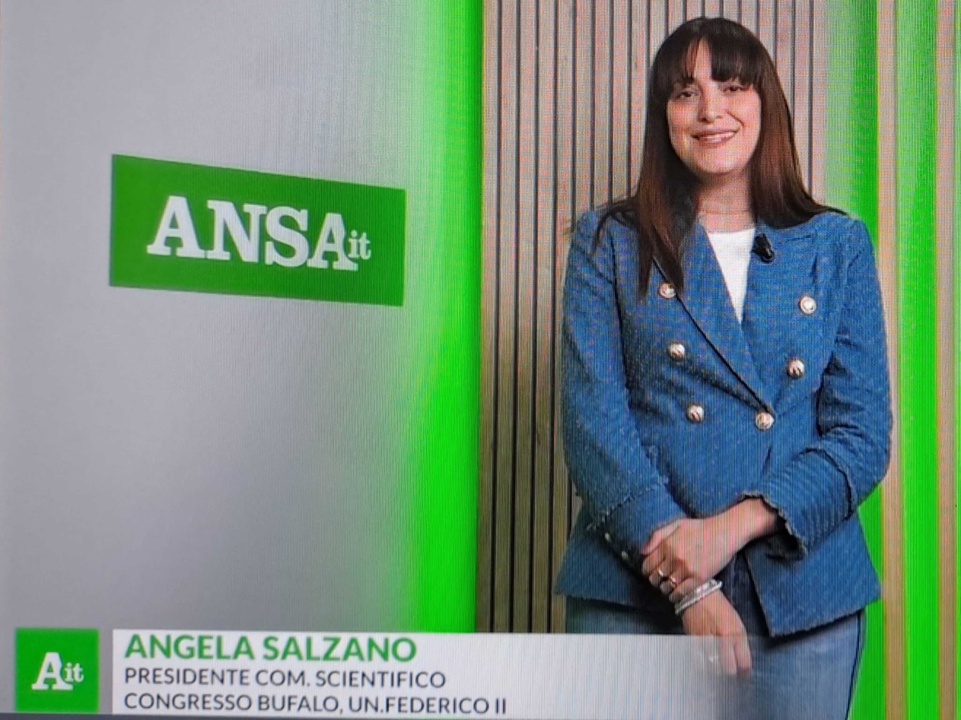Dopo quasi 20 anni torna in Italia il congresso mondiale del bufalo