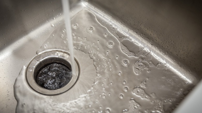 16 items you should never dispose of in your garbage disposal