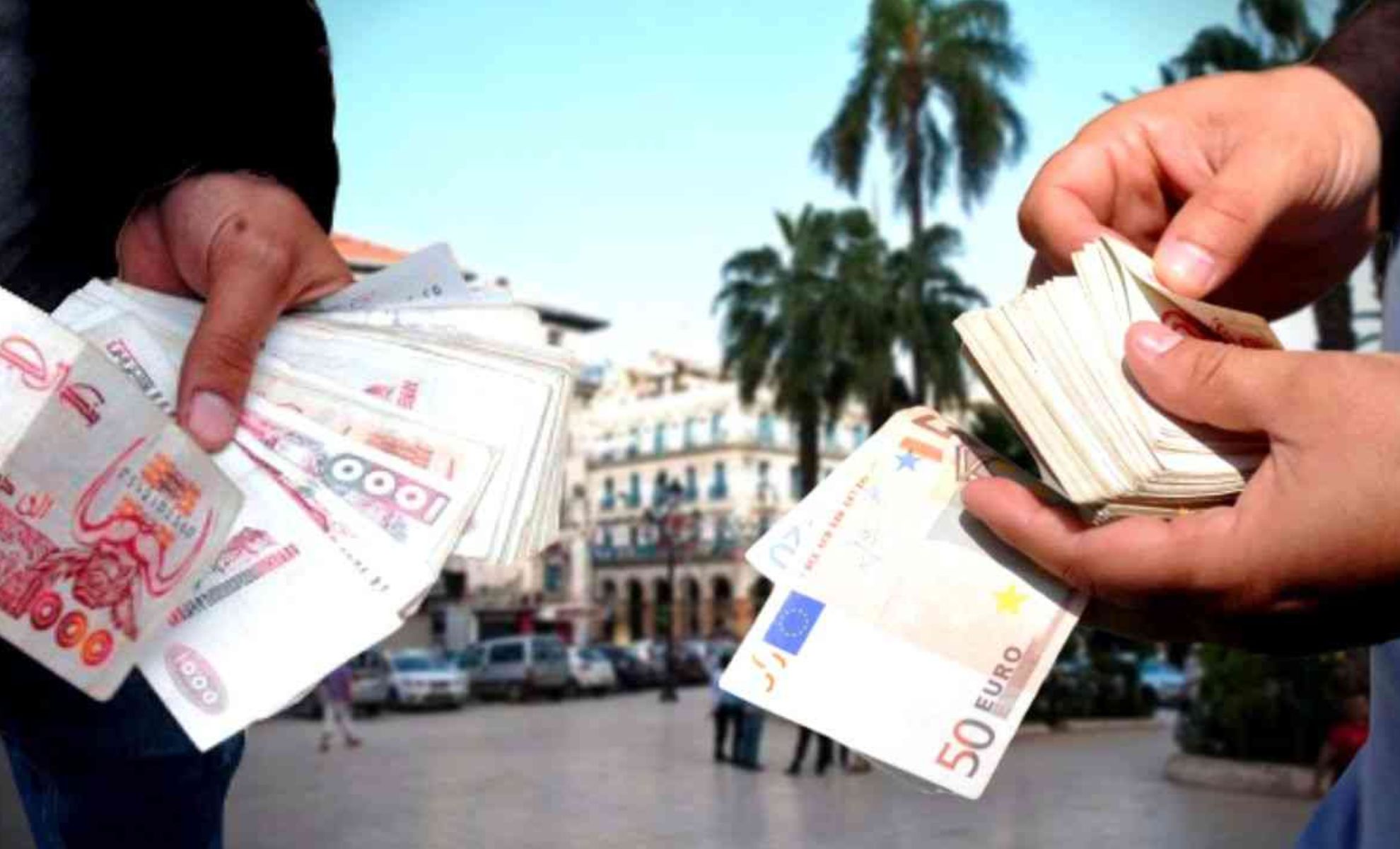 Au Square d’Alger, l’euro grimpe dans un marché presque à l’arrêt