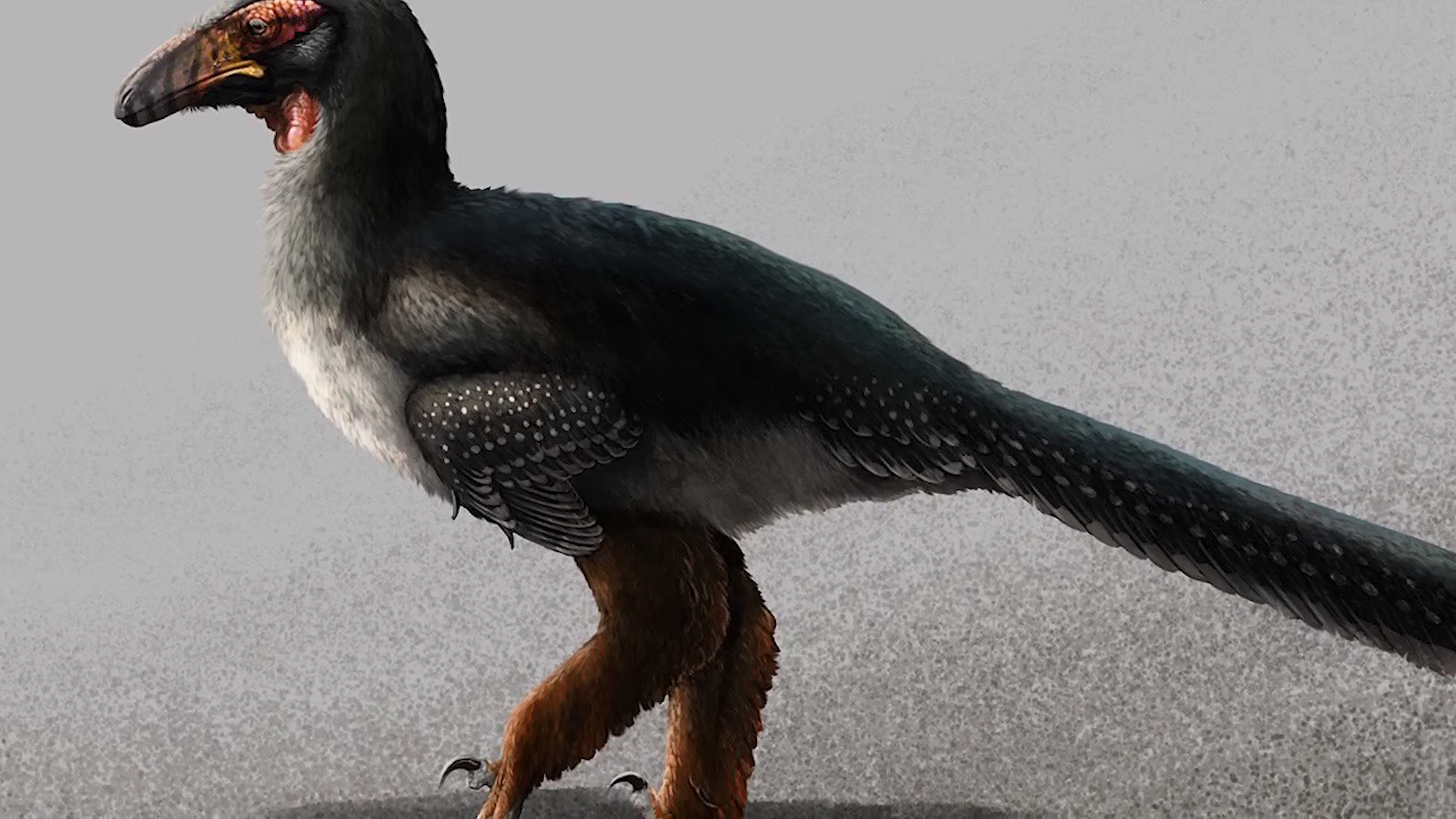 This bird-like predator could hear sounds other dinosaurs never detected