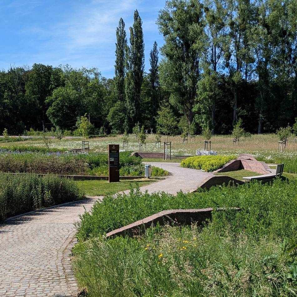 Cromfordwiesen dienen bundesweit als Best-Practice-Beispiel