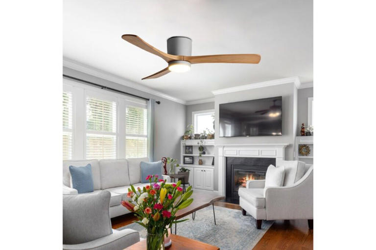 Say goodbye to ugly fans, this super stylish Nordic ceiling fan is ...