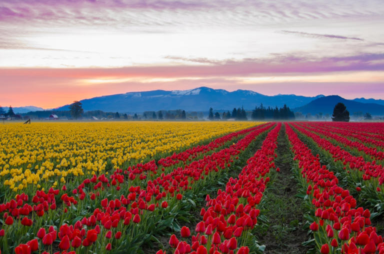 21 wonderful spring road trips around the United States