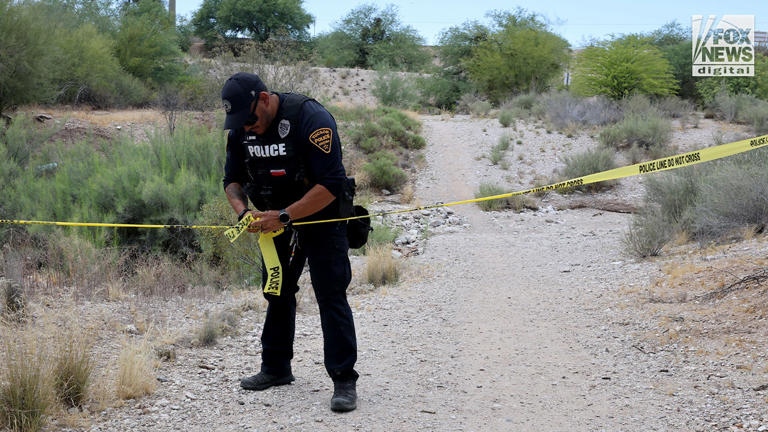Skeleton unearthed near Nancy Guthrie search site believed to be up to ...