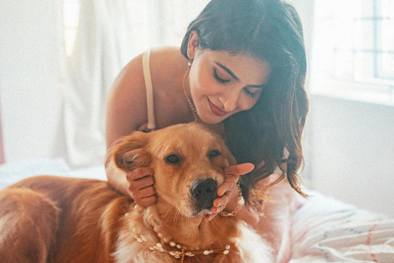 Stray dog debate: Calls for humane, scientific and balanced solutions ...