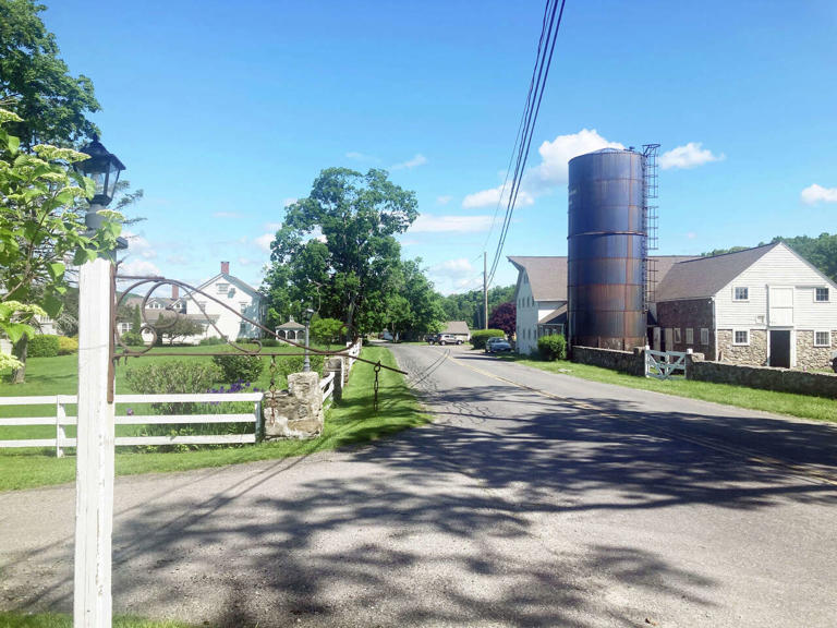 Kent logger seeks permission for ‘selective thinning’ timber harvest at ...
