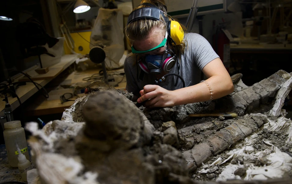 212-million-year-old bipedal croc relative shocks scientists