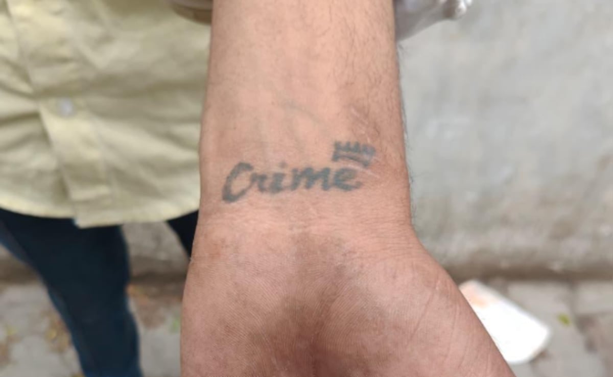 Delhi teen wanted 'gangster-like' image, flaunted guns online, arrested