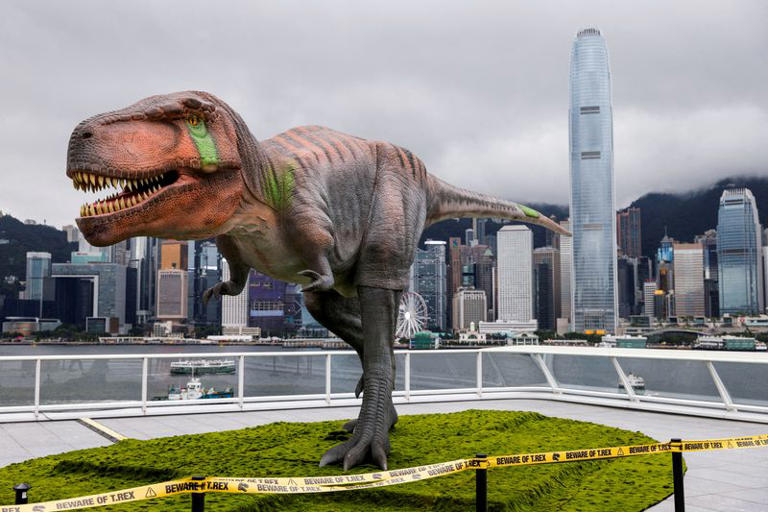 Here's how Tyrannosaurus ended up with a big head and small arms