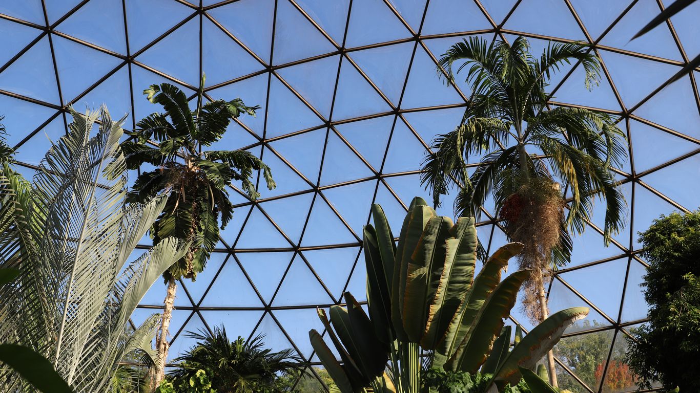 Dome-scraping palms will get axed Monday in Des Moines