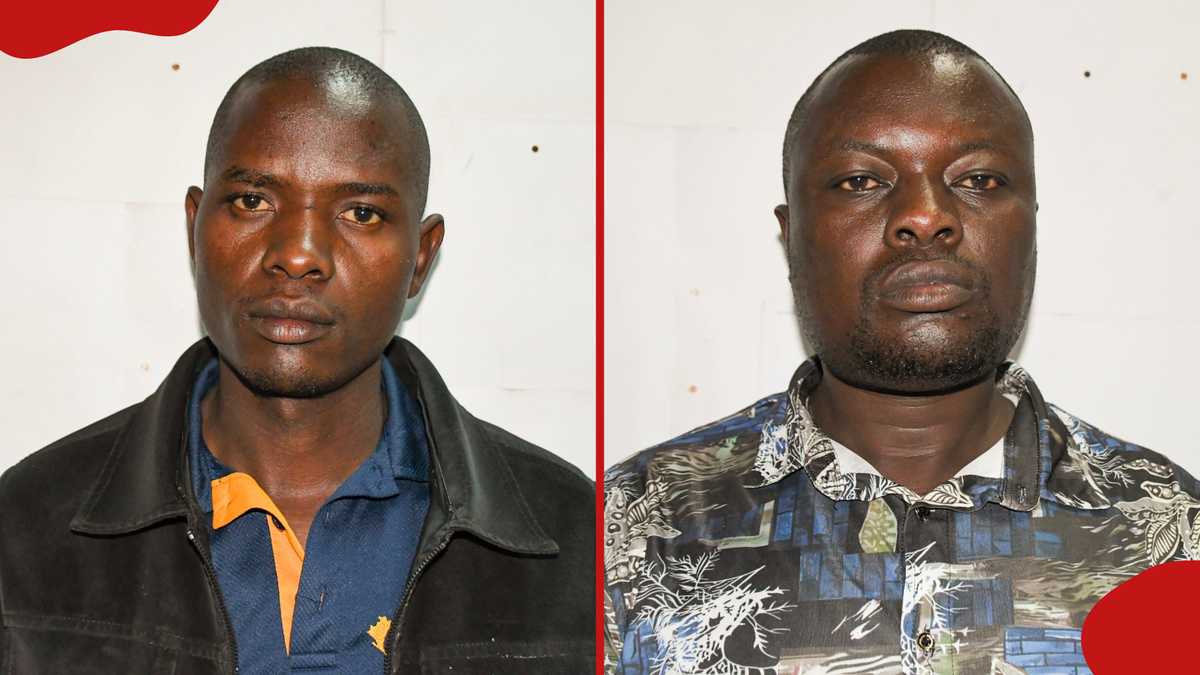 Kenya Power employee arrested after soliciting bribe to reconnect ...