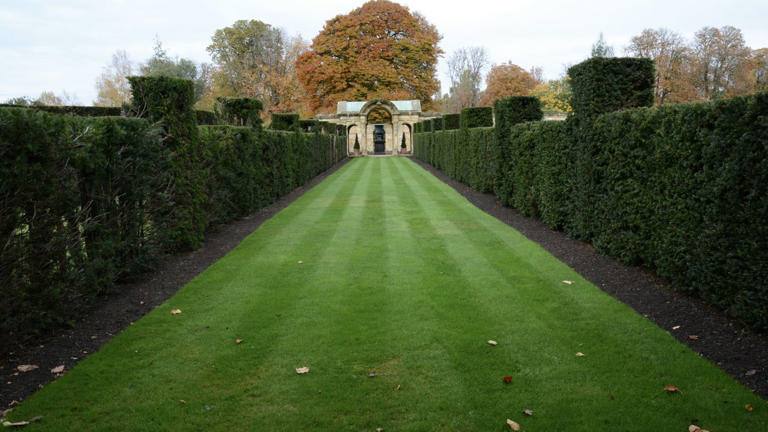 5 simple steps to create perfect lawn stripes – and the best kind of ...
