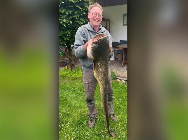 Der Fang seines Lebens: Auer Ex-Bürgermeister fischt 20-Kilo-Waller aus ...