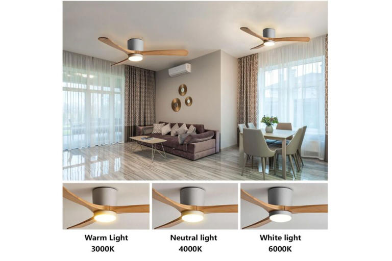 Say goodbye to ugly fans, this super stylish Nordic ceiling fan is ...