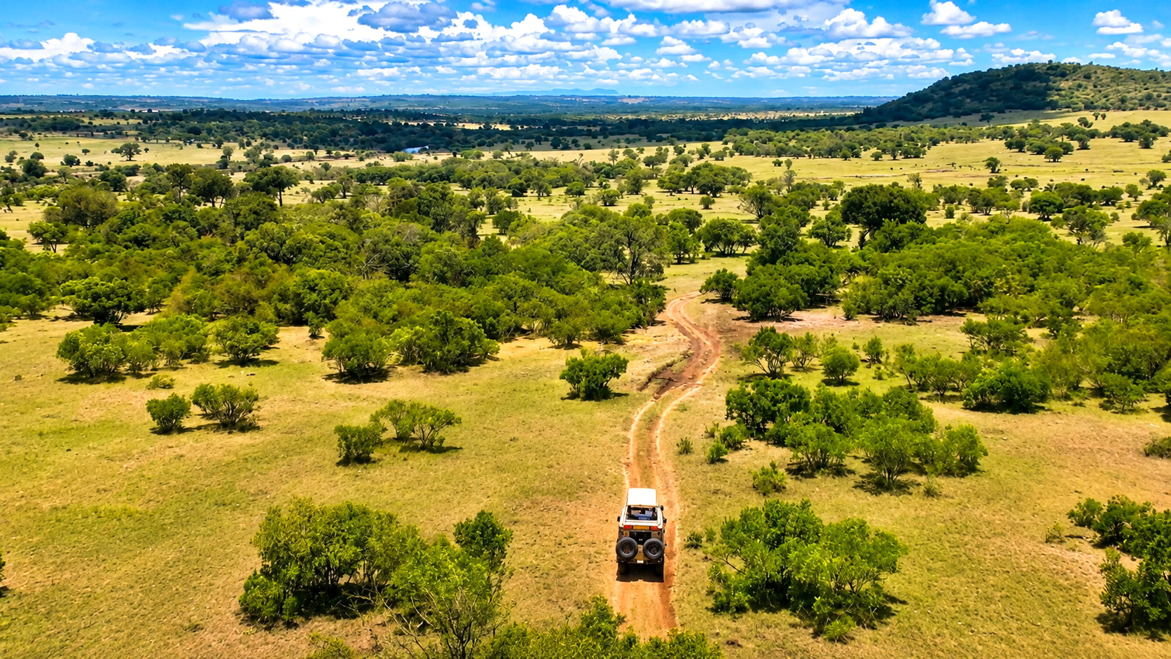 La reserva de elefantes de Sudáfrica donde aún vagan los gigantes