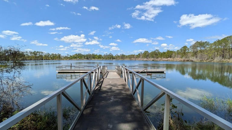 Florida's scenic state forest near Orlando is a peaceful escape with ...