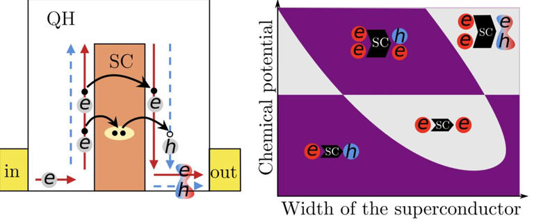 Topological states emerge in quantum Hall-superconductor devices with ...