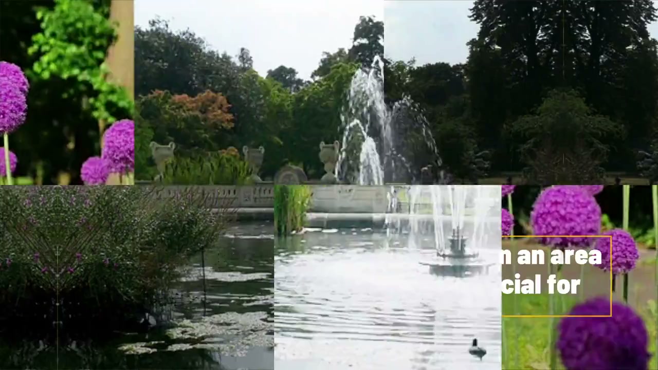 Spending time in your garden has similar health benefits to living in a ...