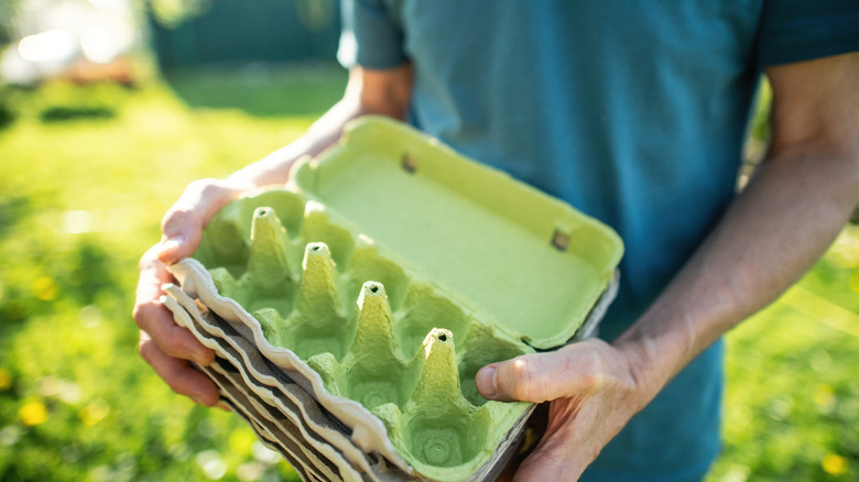 Use old egg cartons to create budget-friendly pavers with this savvy DIY