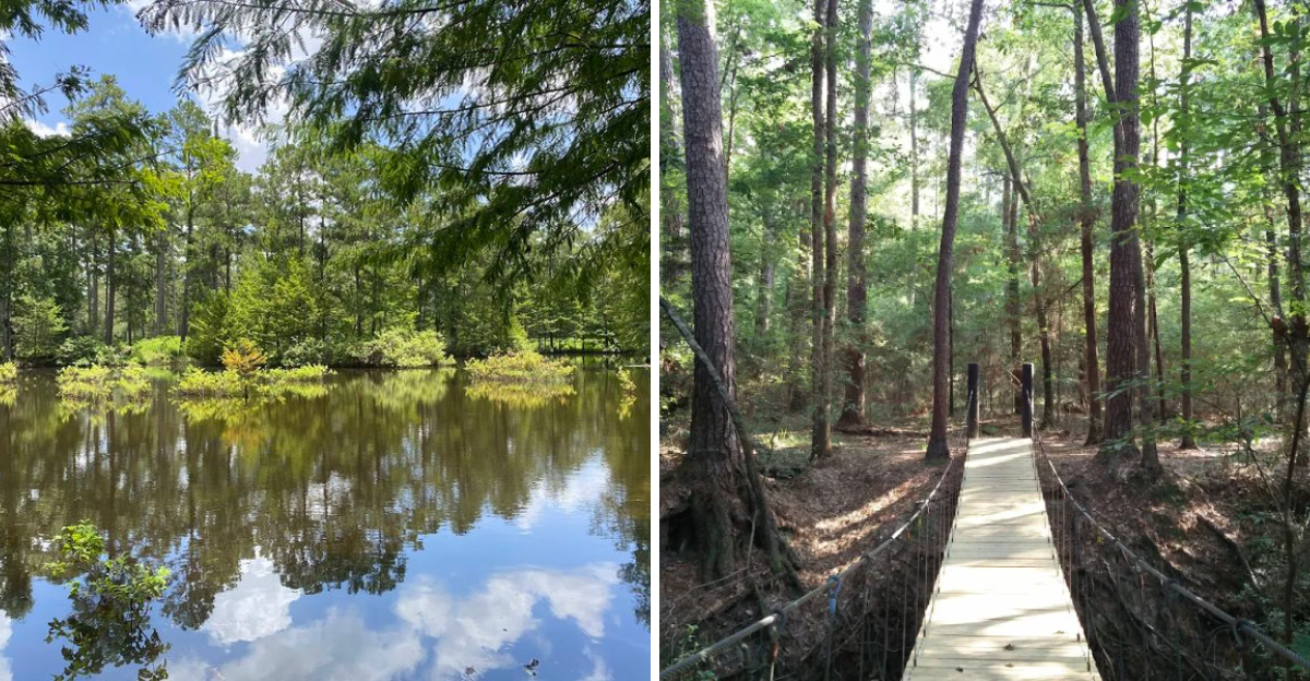 This 2.3-mile hike in Texas leads you to a swinging suspension bridge ...