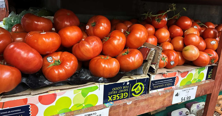 Tomatoes become latest symbol of America's affordability squeeze