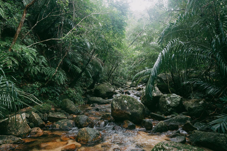 This island is known as the ‘Hawaii of Japan’—and it has tropical vibes ...