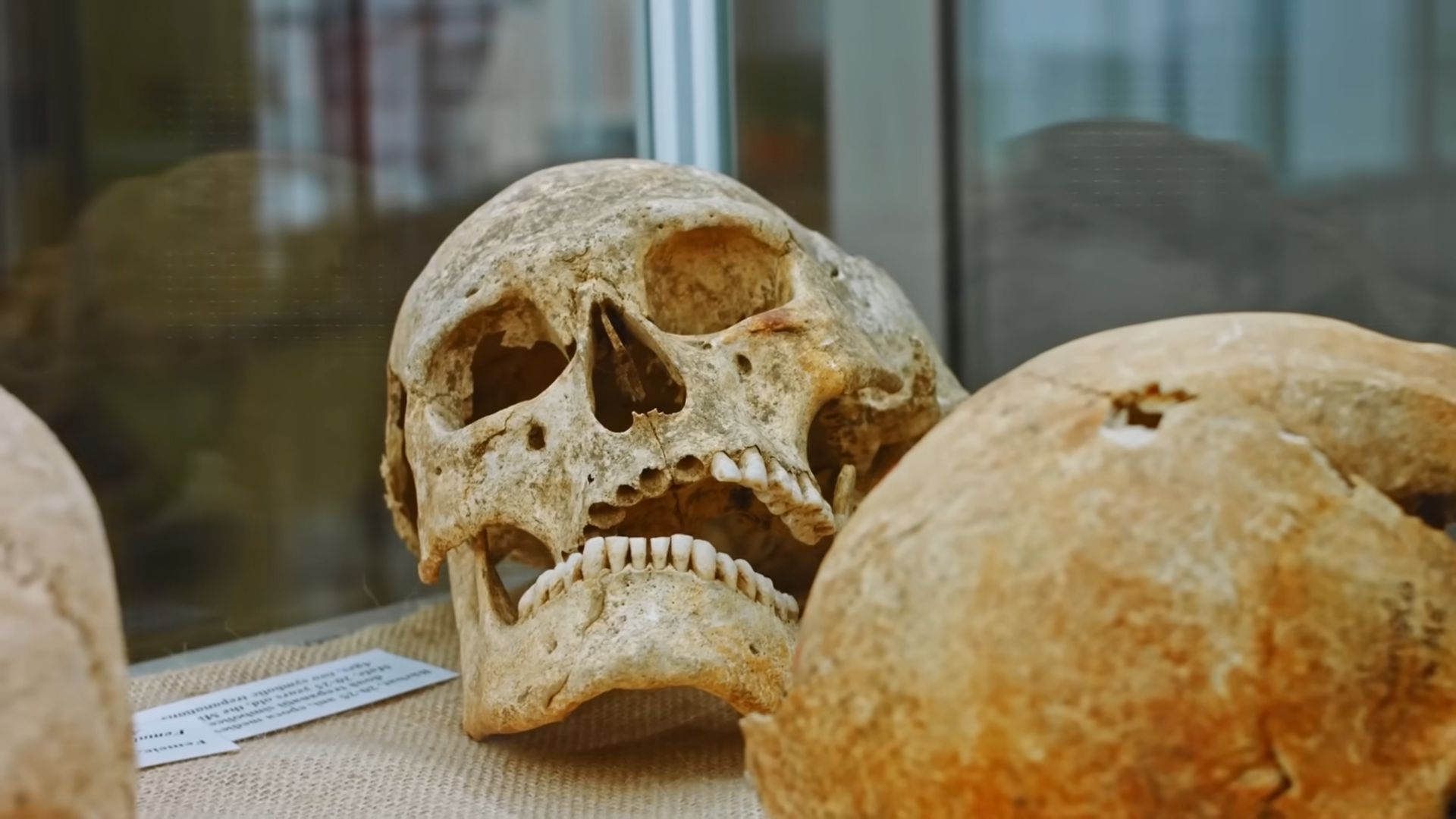 2 men tried to mail human body parts home - then police found a baby’s ...