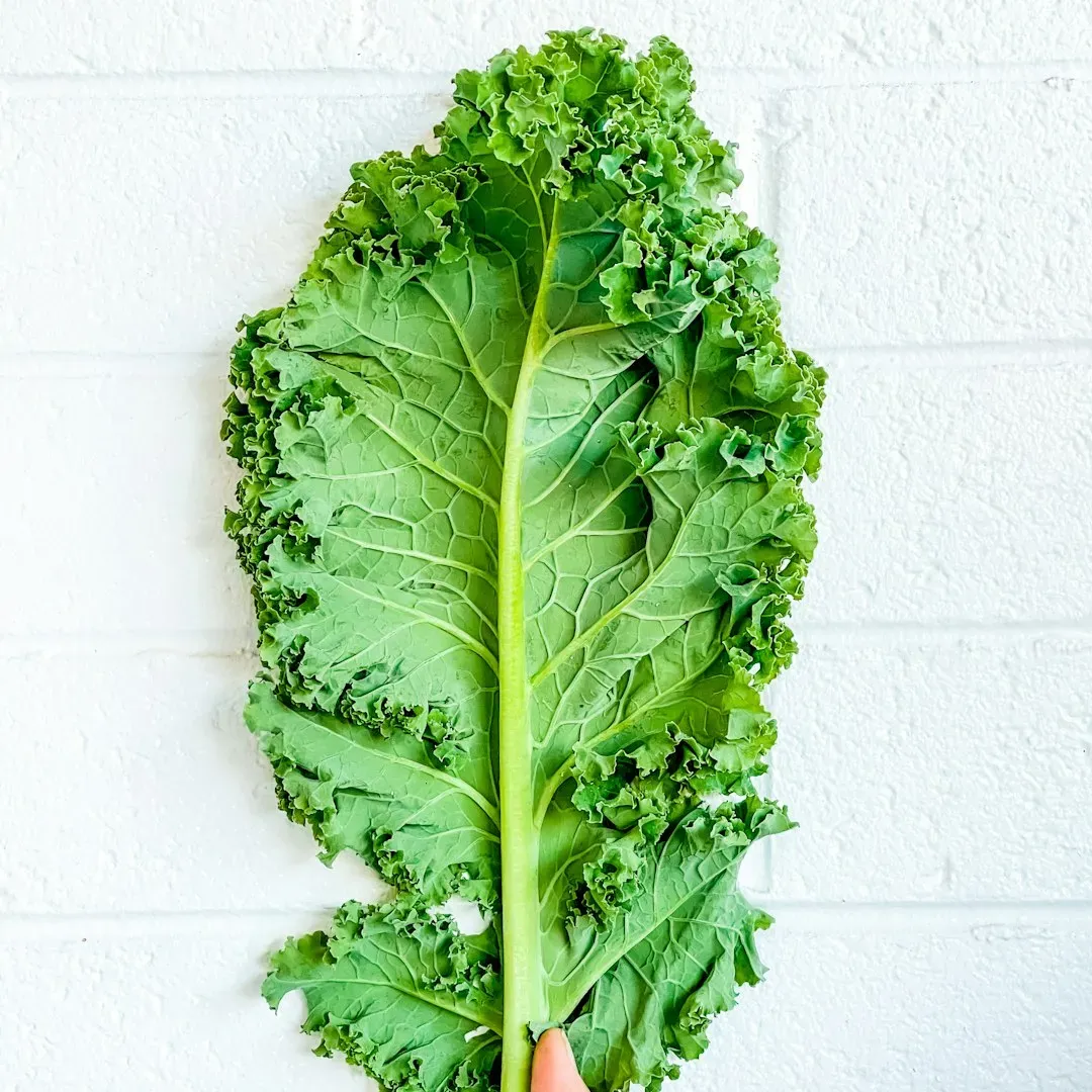 The ancient grain alert: 12 trendy superfoods that are just clever ...