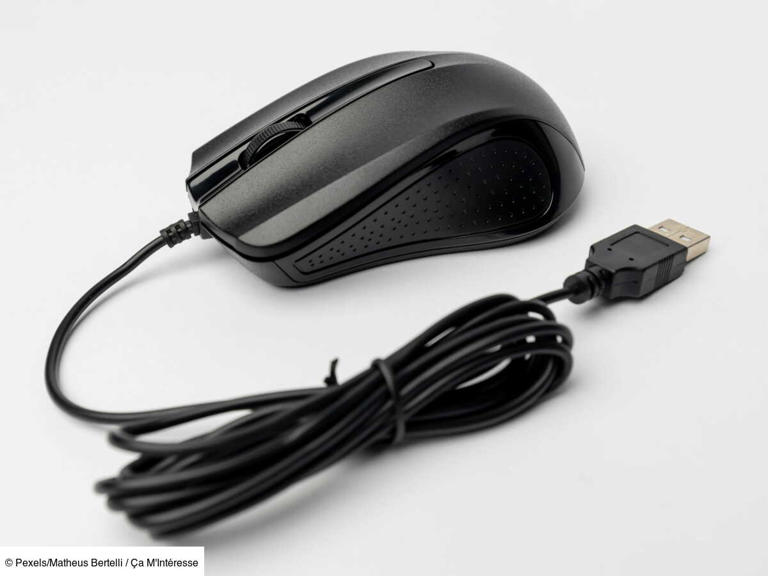 Pourquoi ma souris d’ordinateur me provoque-t-elle des douleurs au ...