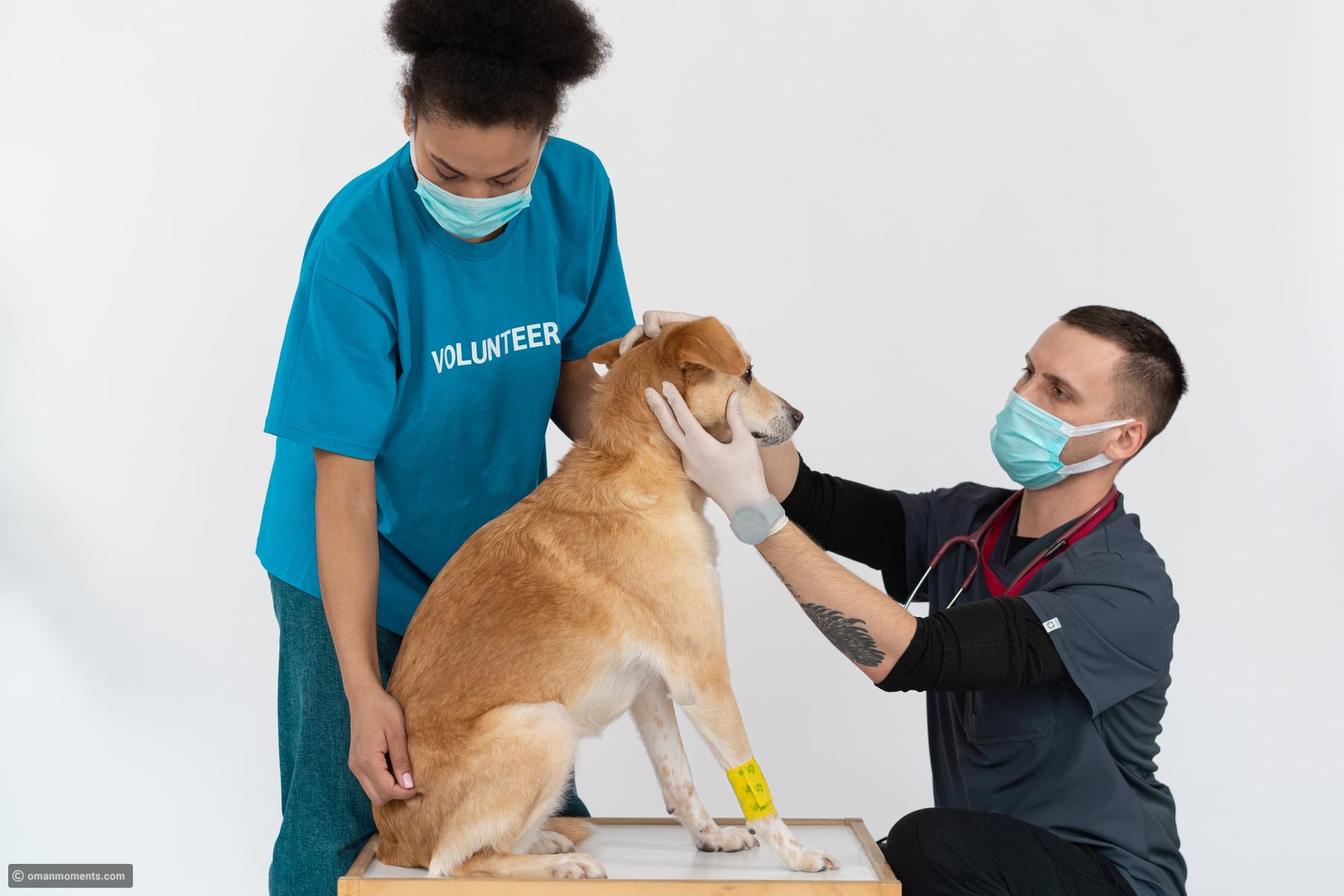Rosie’s vet visit reveals 8 surprising truths about her health