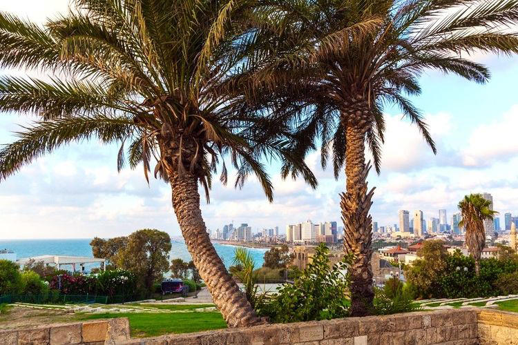 La vieille ville de Jaffa : voyage au cœur de l'histoire de Tel Aviv
