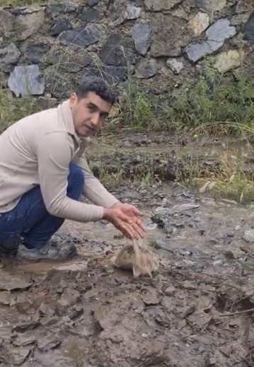 Dere yatağında mahsur kalan köpek ile toprak altındaki kaplumbağa ...