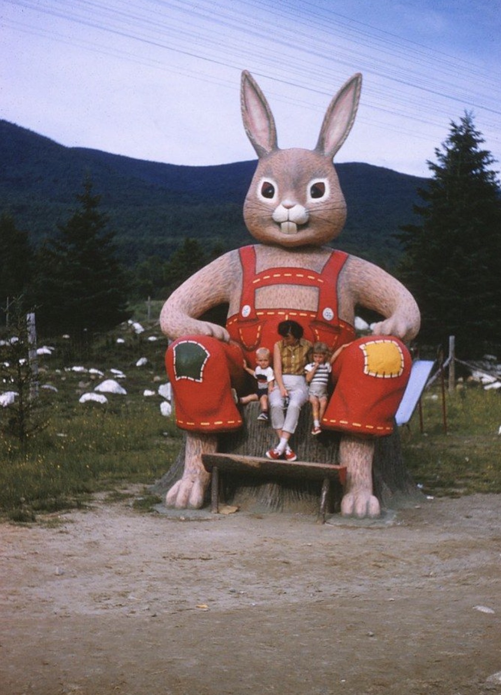 20 real oddities spotted along your hypothetical American road trip