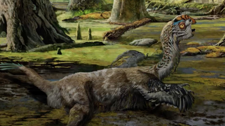 First dinosaur tail found preserved in amber