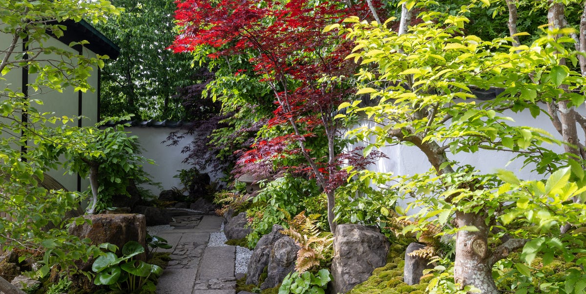 Beautiful Japanese garden ideas to make even the smallest space feel ...