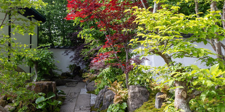 Beautiful Japanese garden ideas to make even the smallest space feel ...