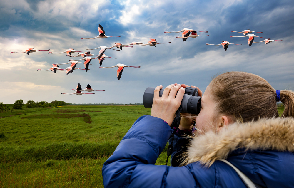 15 coastal and migratory bird refuges for spectacular bird watching