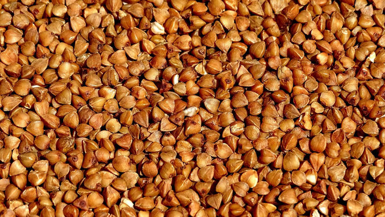 Why sprouting your grains and seeds unlocks hidden nutritional benefits