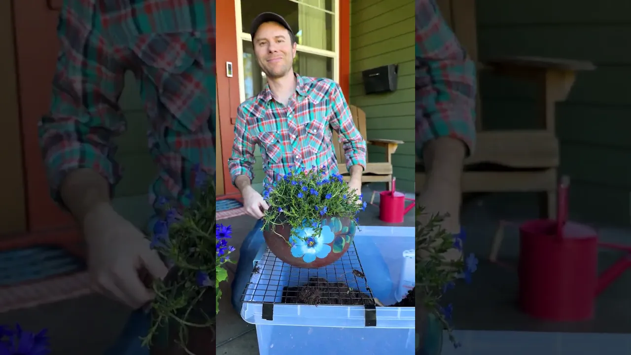 Smart yard tips! 🌿