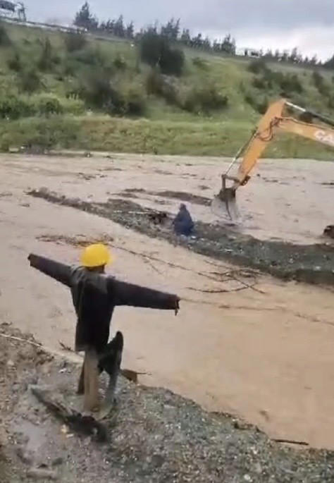 Dere yatağında mahsur kalan köpek ile toprak altındaki kaplumbağa ...