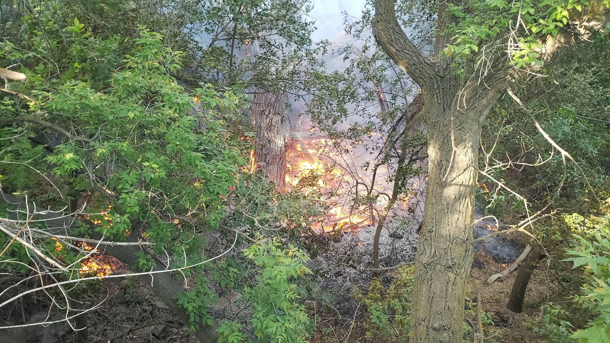 Rock Creek Canyon brush fire contained
