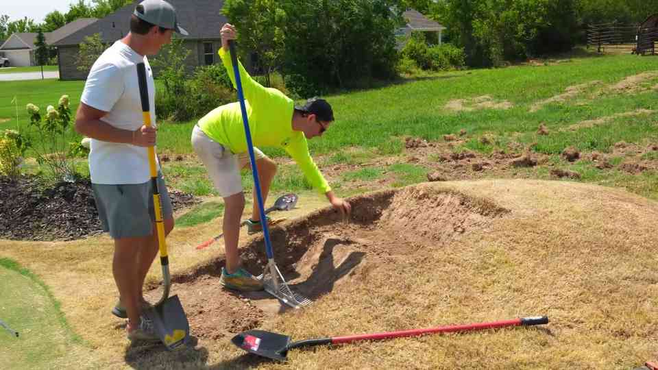 Everyone laughed at this lawn idea — then it worked