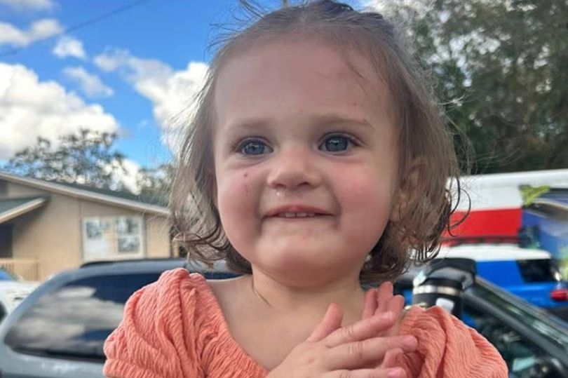 Girl, 1, dies after running into traffic on day out at beach as dad ...